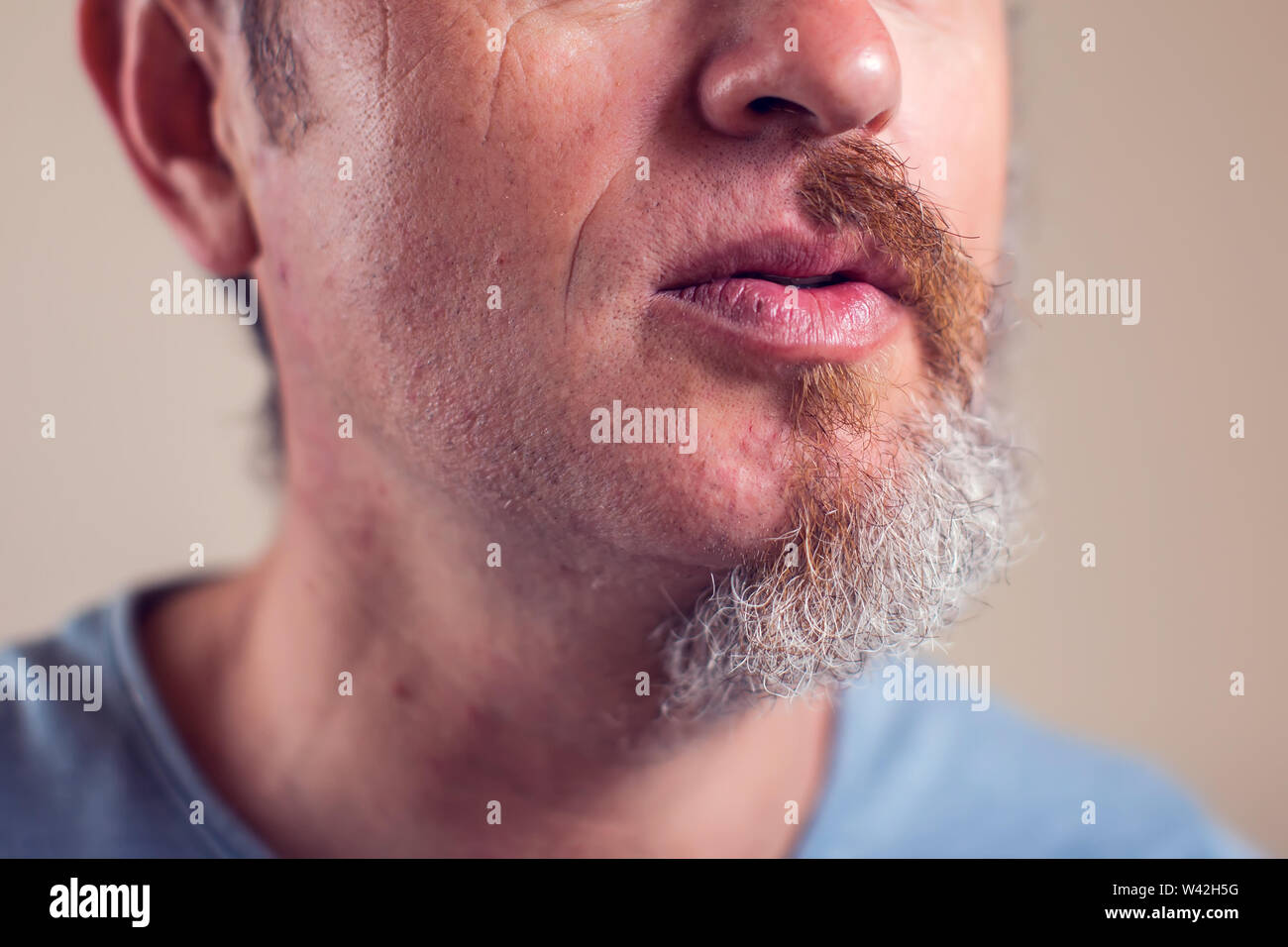A portrait of man with half beard and hair on brown background Stock ...