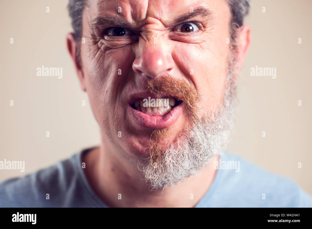 A portrait of man with half beard and hair on brown background Stock ...