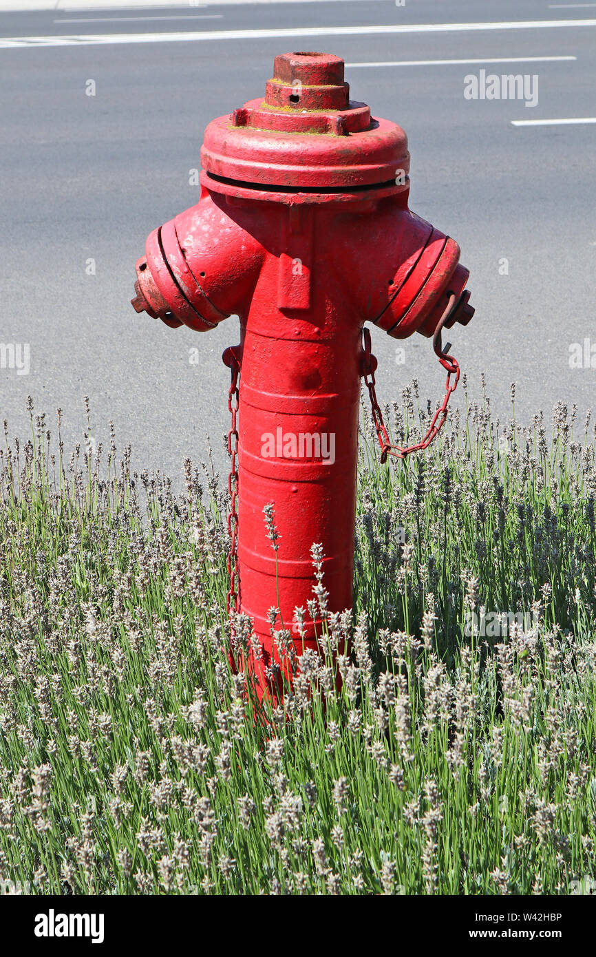 Red fire hydrant next to the road Stock Photo - Alamy