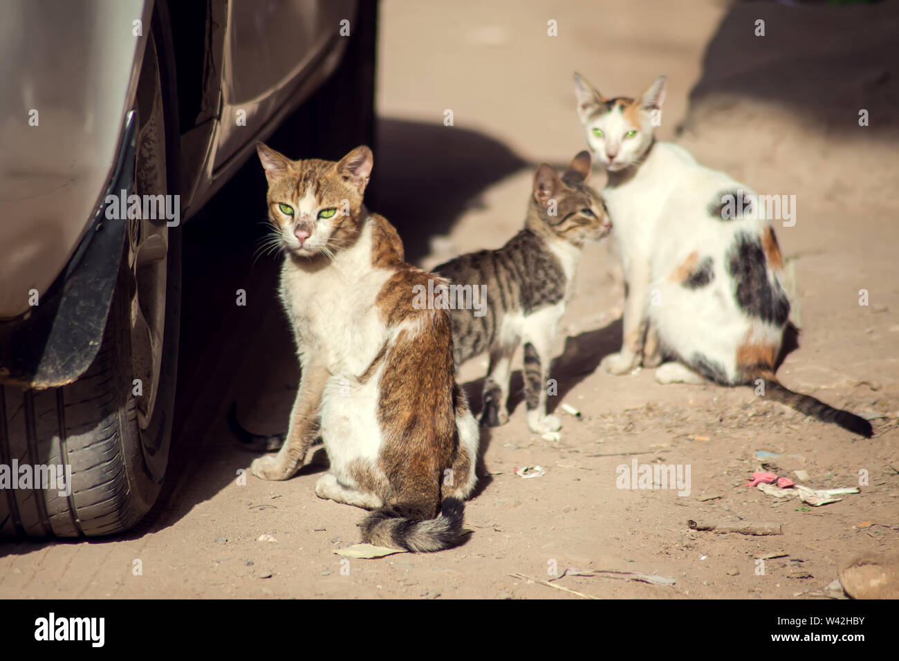 Homeless and street hi-res stock photography and images - Alamy