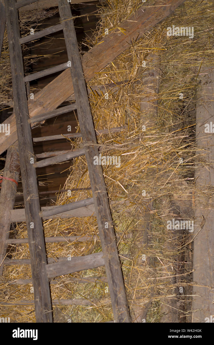 Old wooden ladder hi-res stock photography and images - Alamy