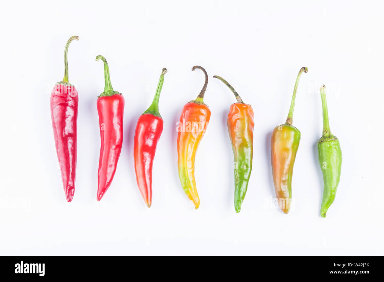 Chili pepper of gradient colors isolated on white background. Fresh and ...