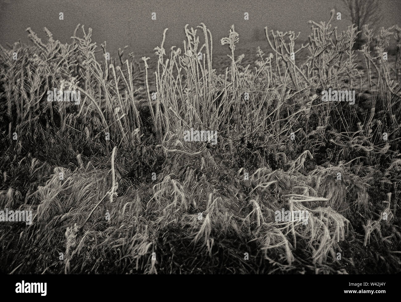 Uk soil map hi-res stock photography and images - Alamy
