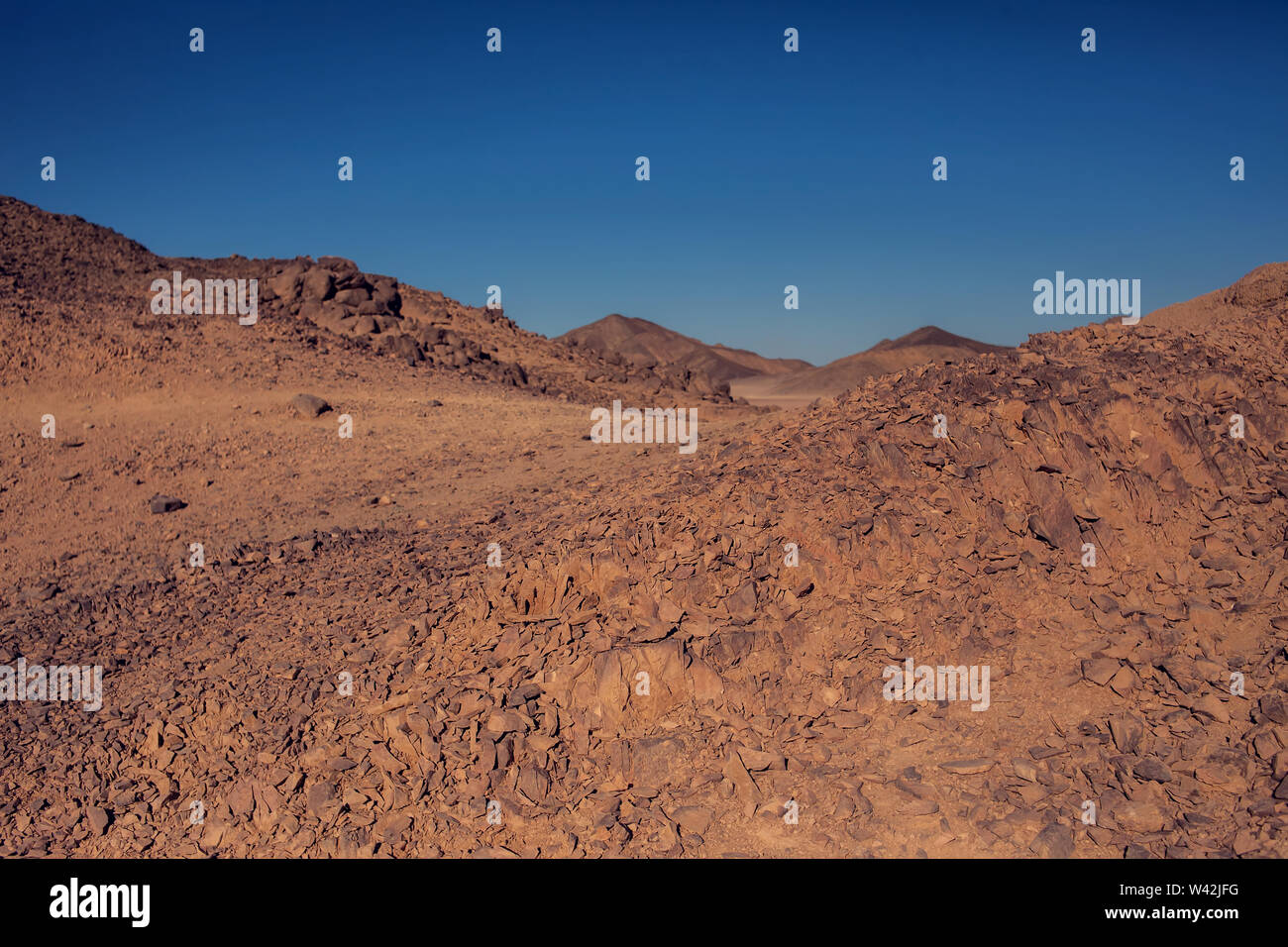 Nature of egypt hi-res stock photography and images - Alamy