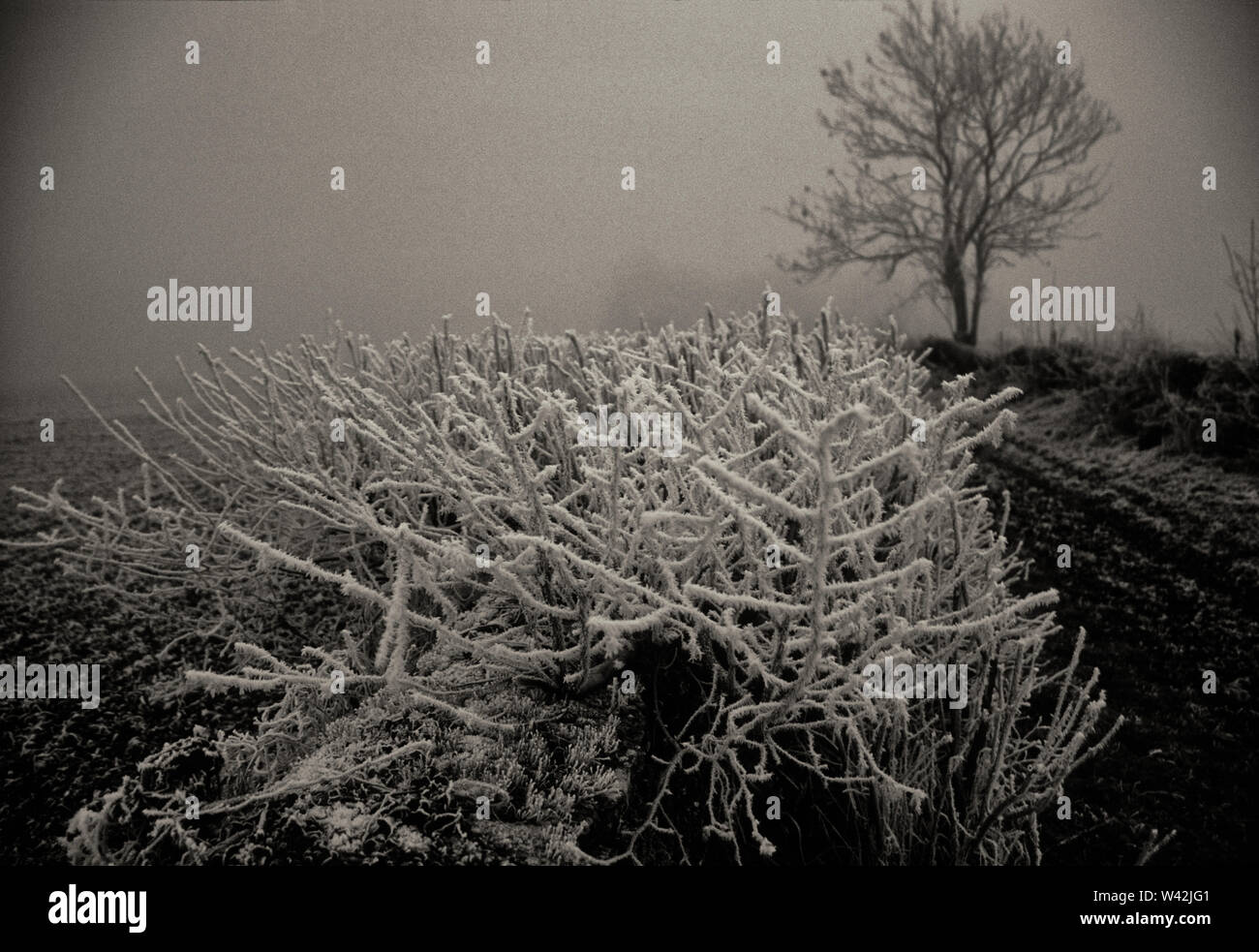 Uk soil map hi-res stock photography and images - Alamy