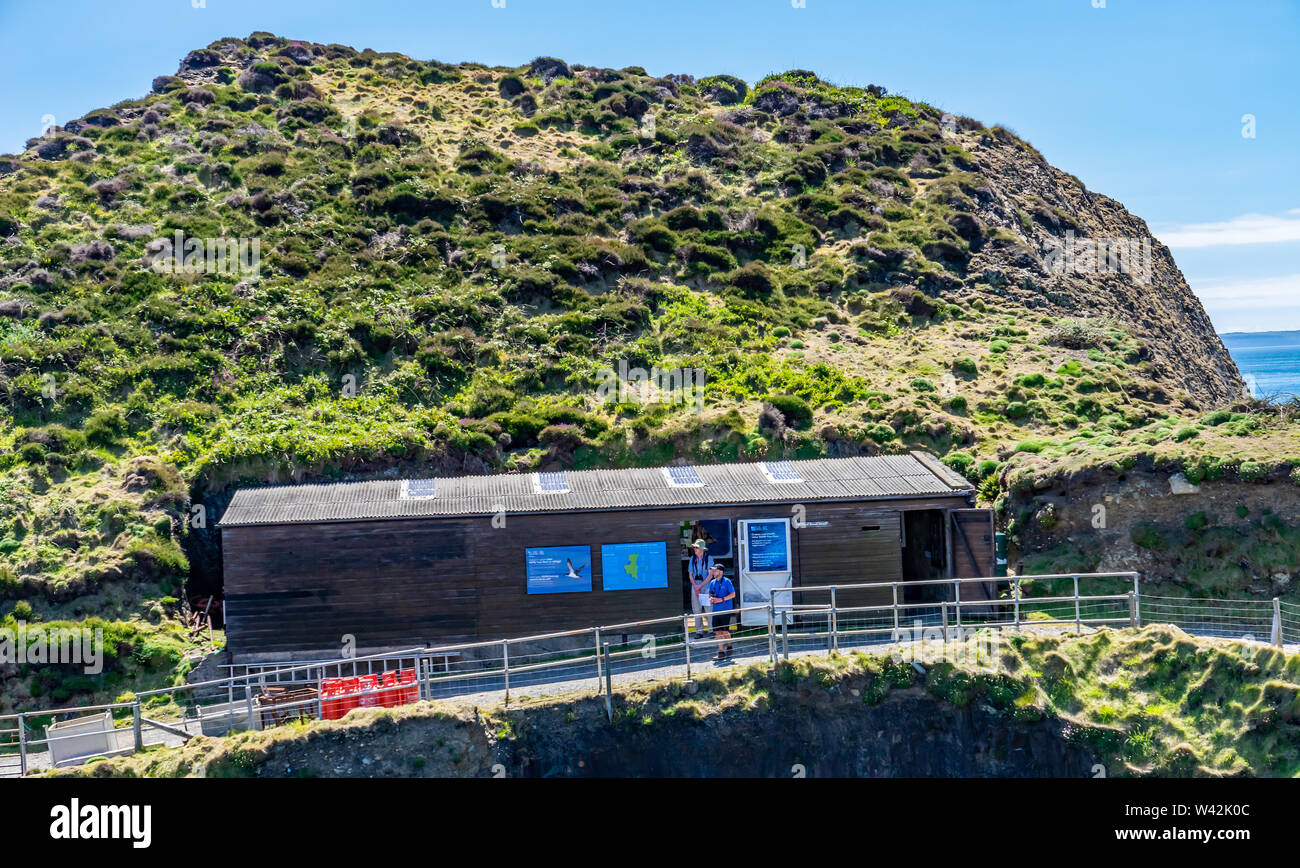 Rspb information about ramsey island hi-res stock photography and ...