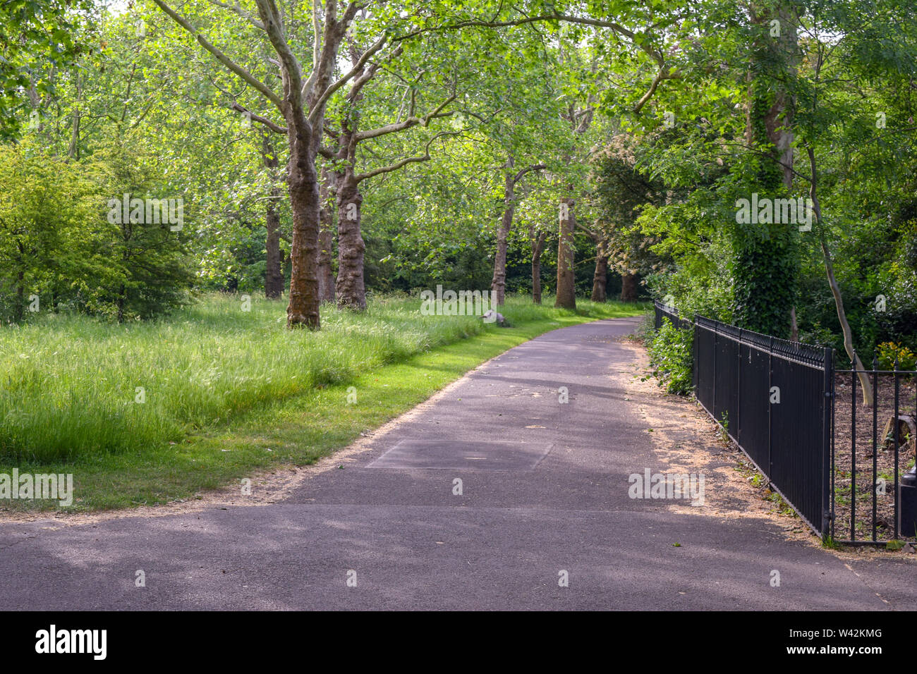 Path inside a park wooded with a low black fence on one side Stock ...