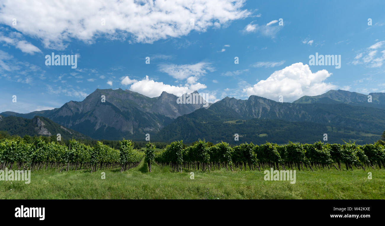 Grapevine mountains hi-res stock photography and images - Alamy