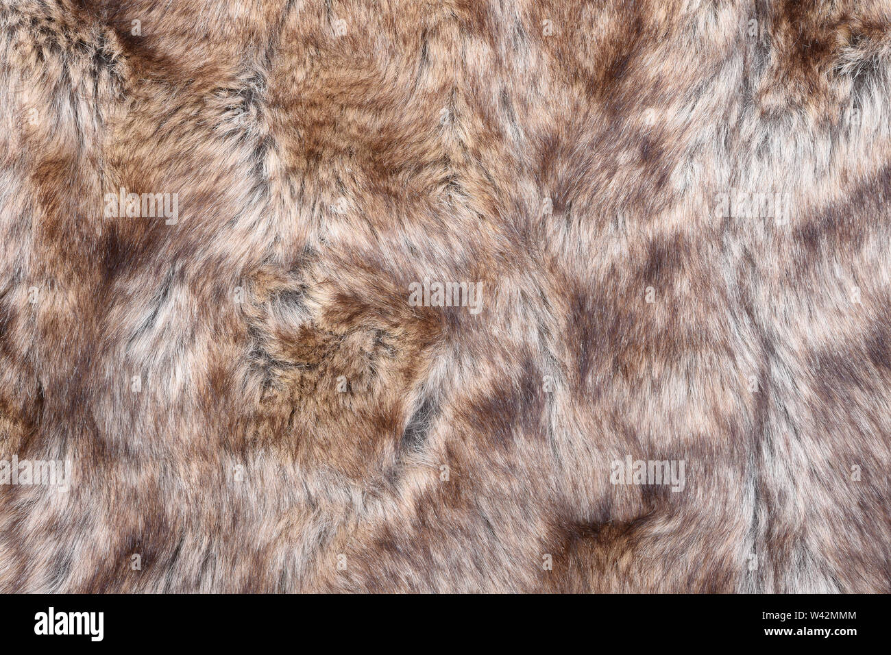 Fake animal hi-res stock photography and images - Alamy