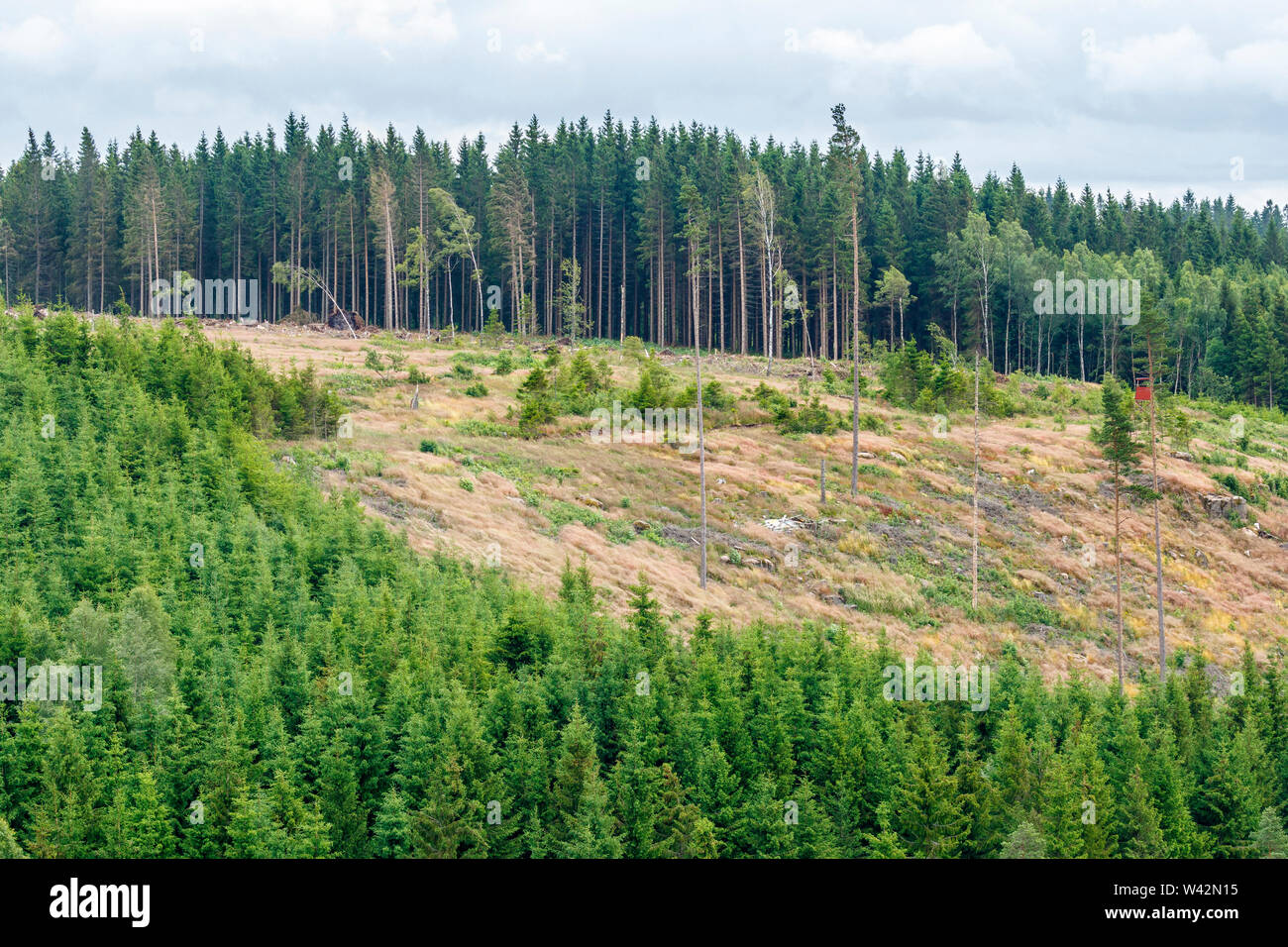 Forest clear cutting aerial view hi-res stock photography and images ...