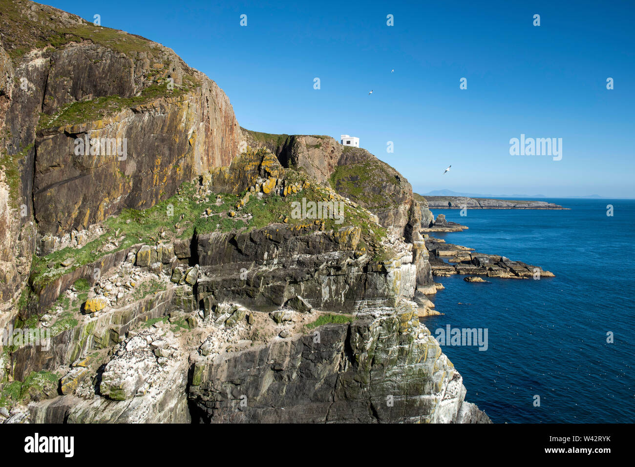 Cliffs at South Stack on the Island of Anglesey, Wales UK Stock Photo ...