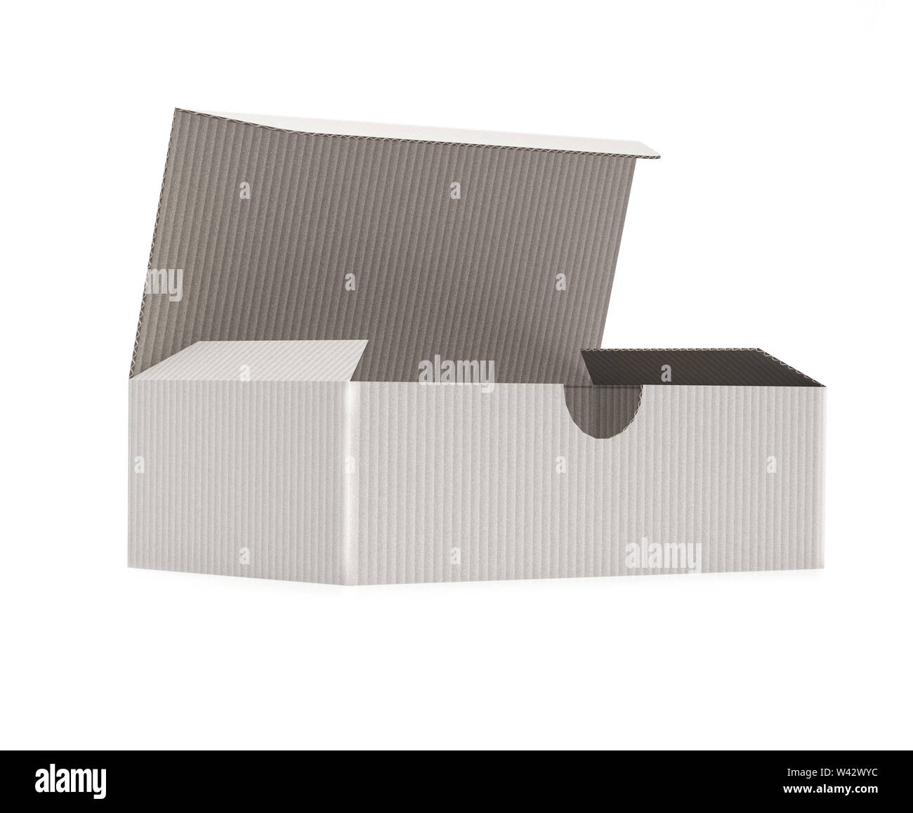 Open paper cardboard box. Empty shoe box. 3d rendering illustration ...