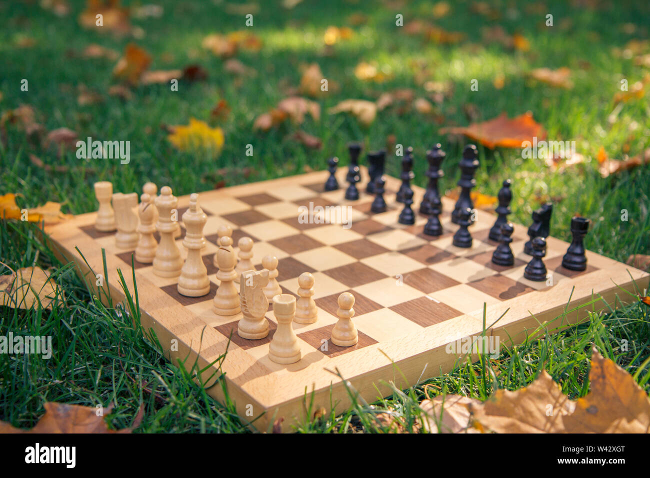 Wooden chessboard and chess pieces on a grassy ground covered with dry ...