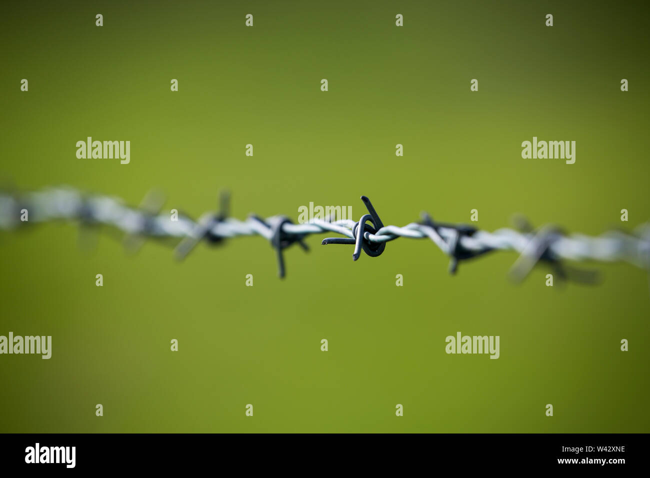 A line of barbed wire Stock Photo - Alamy