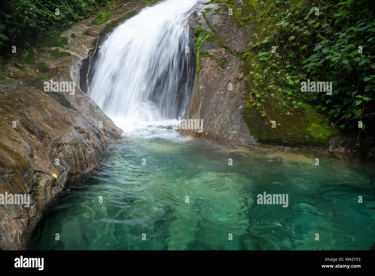 Beautiful river in the rainforest, Serrinha, Rio de Janeiro, Brazil ...
