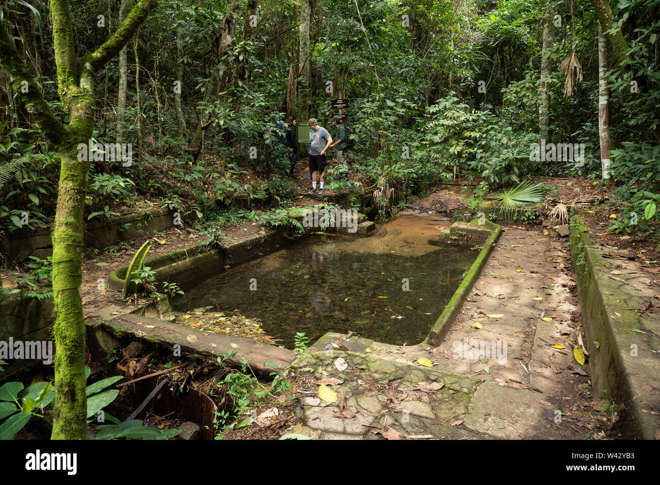 Rio Carioca na Floresta da Tijuca, Rio de Janeiro, RJ Stock Photo - Alamy