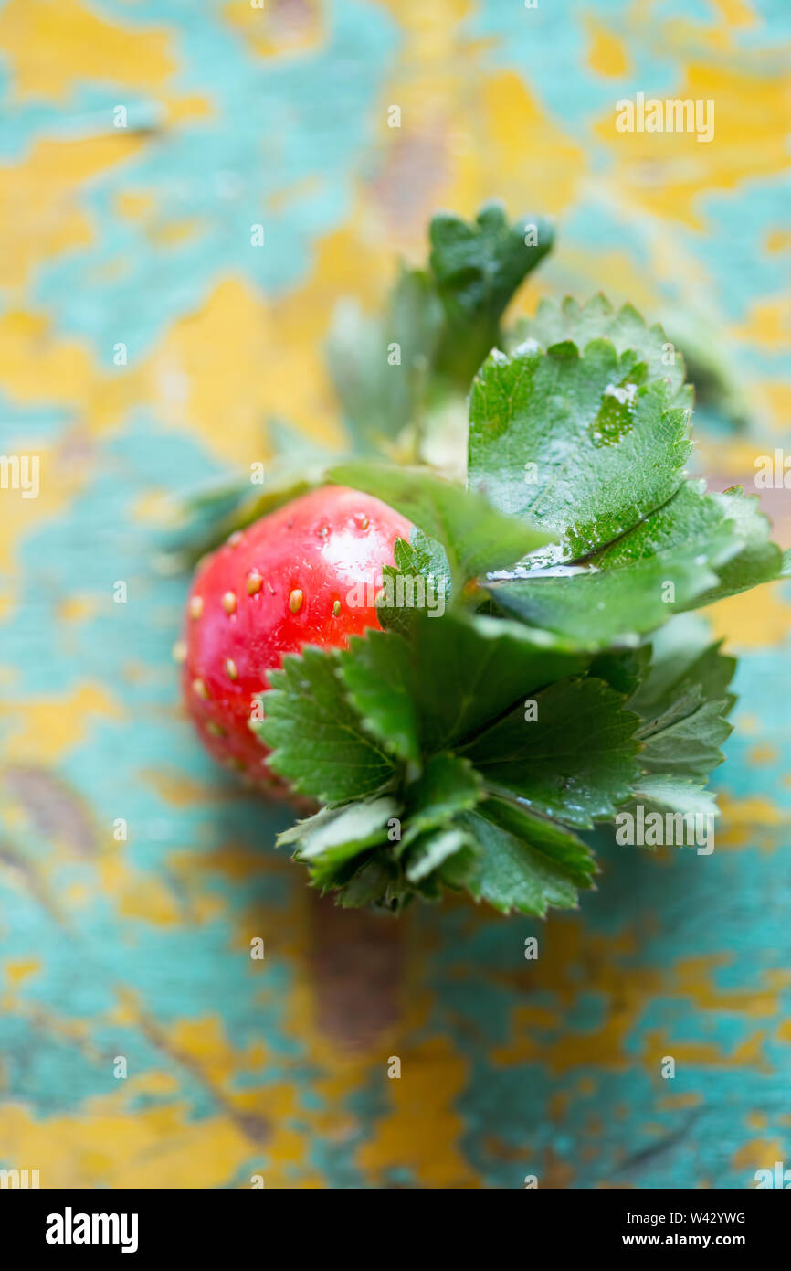 Odd strawberry hi-res stock photography and images - Alamy