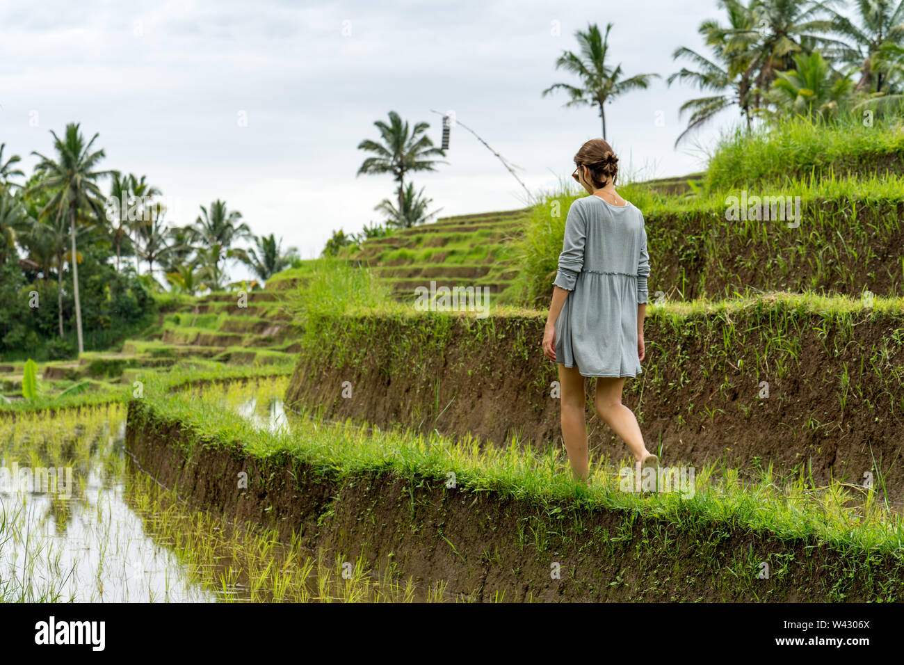 Young lady enjoying the walk through balinese rice fields Stock Photo ...