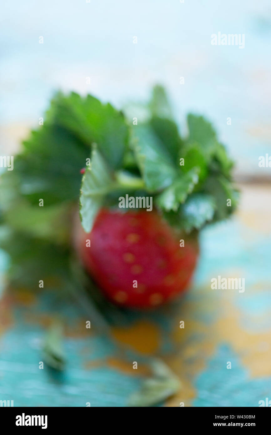 Odd strawberry with lots of leaves Stock Photo - Alamy