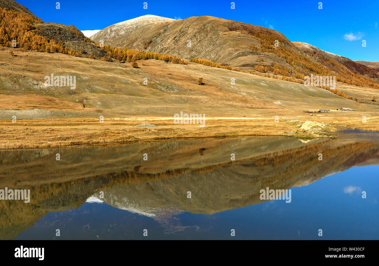 Siberia outdoors hi-res stock photography and images - Alamy