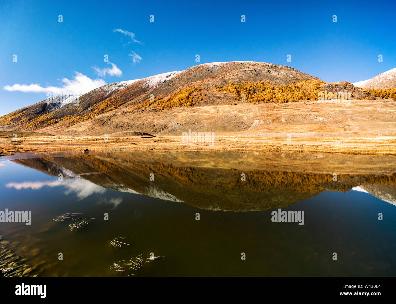 Clear reflection of clouds, blue sky and Altai mountains in lake. Kosh ...