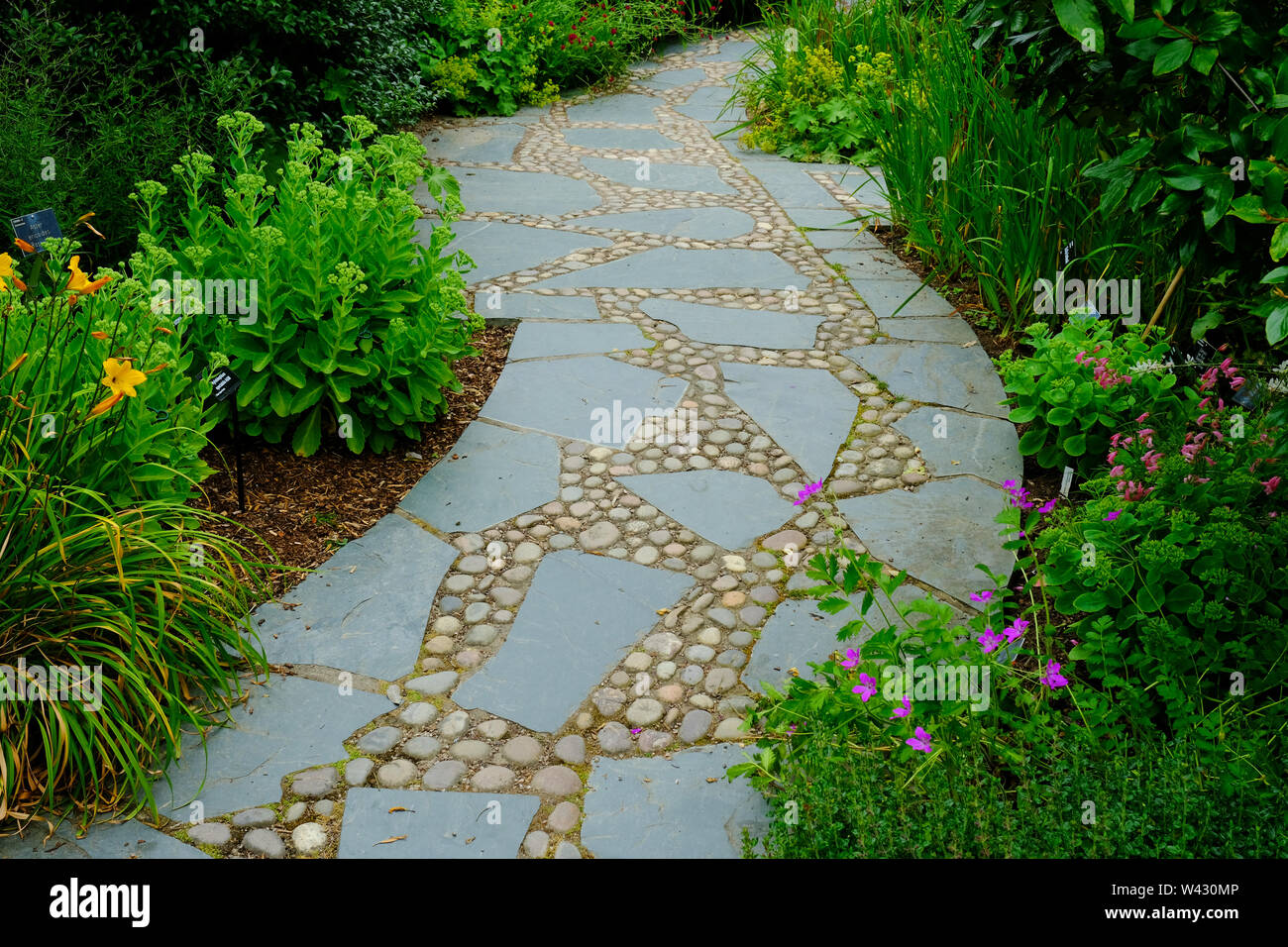 A slate garden path bordered by flowering perennials, UK - John Gollop ...