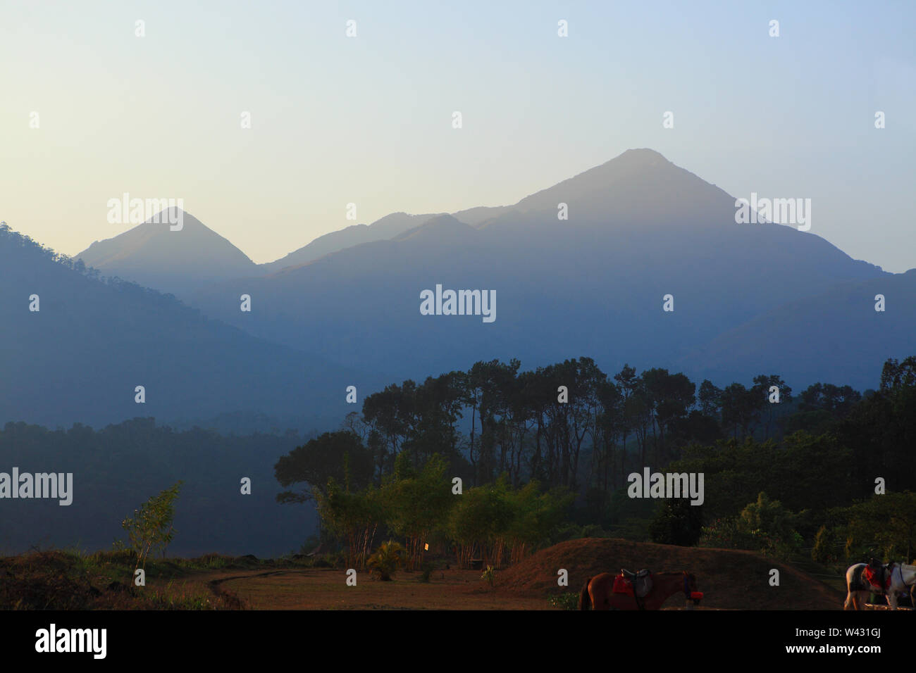 Wayanad forest hi-res stock photography and images - Alamy