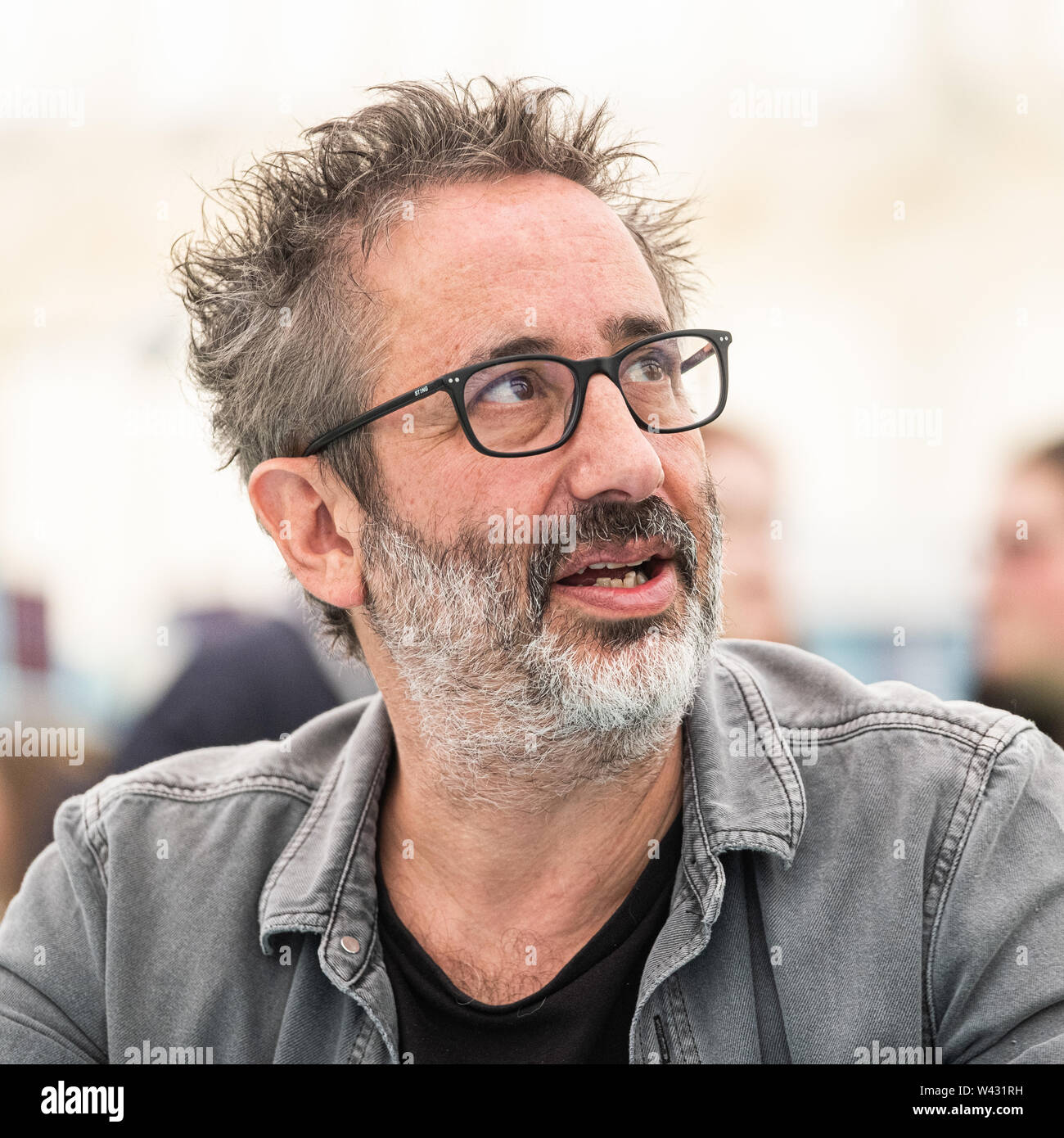 David Baddiel, English comedian, novelist and television presenter. At ...