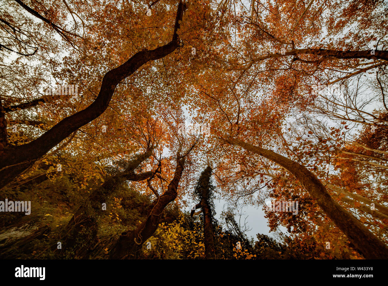 Mt pelion greece hi-res stock photography and images - Alamy
