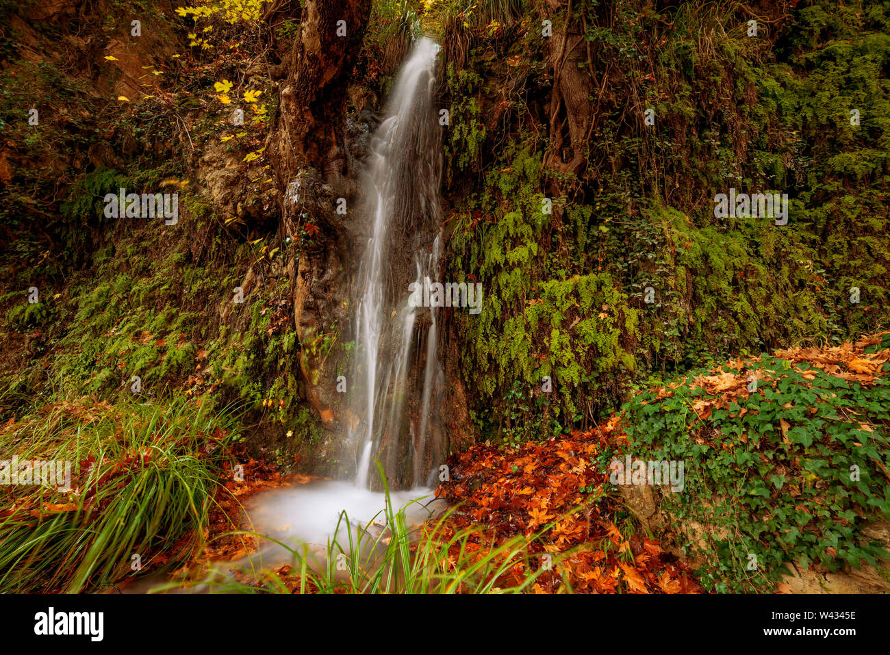 Autumn on Mt Pelion Greece Stock Photo - Alamy