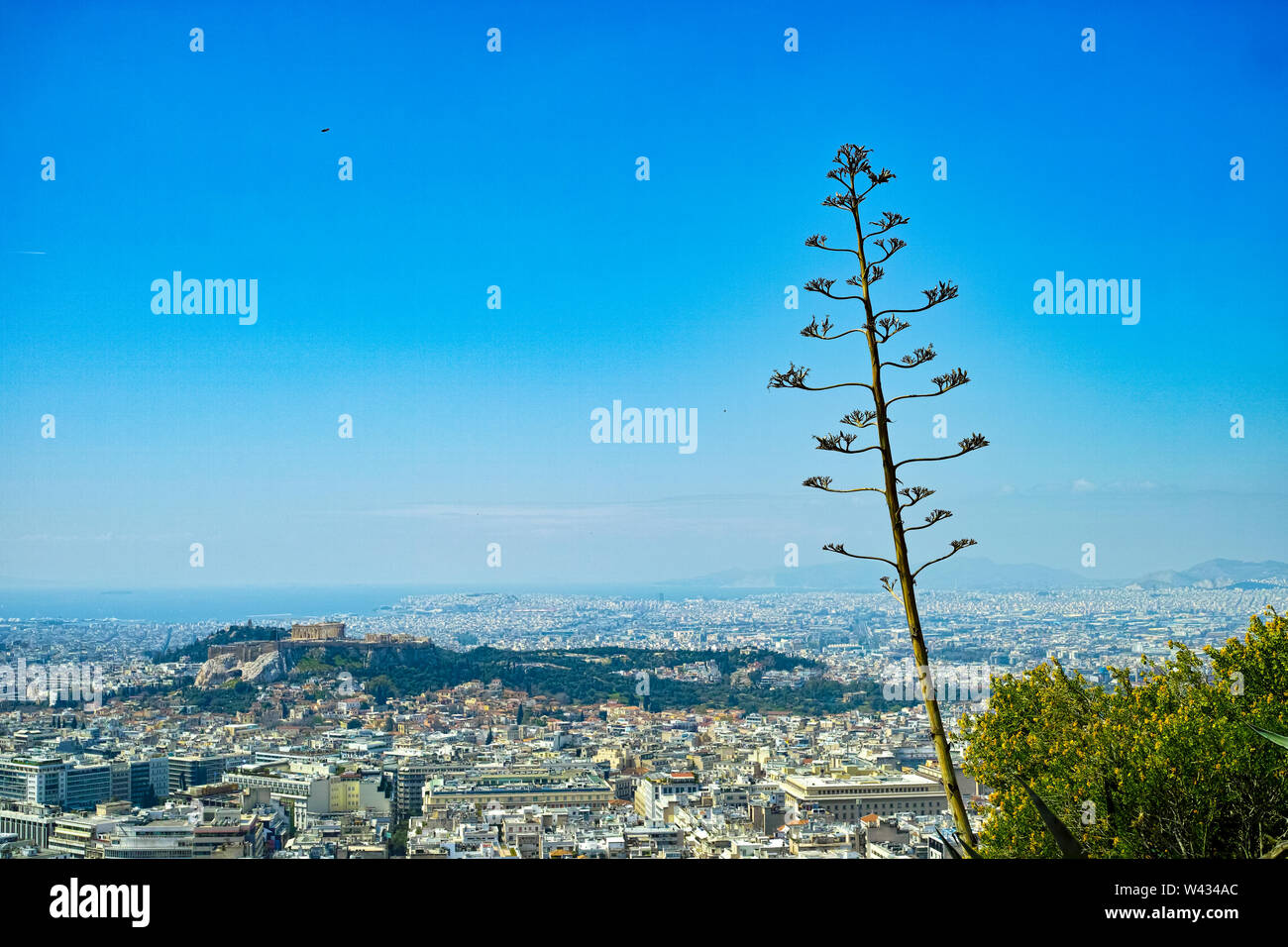 Athens, capital of Greece, in spring, view from hill, cityscape with ...