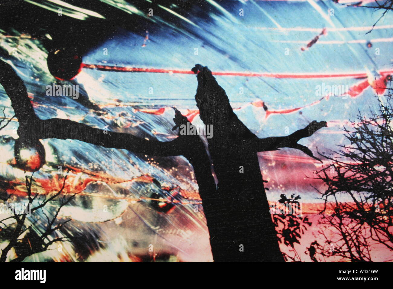 Algirdas grigaitis hi-res stock photography and images - Alamy