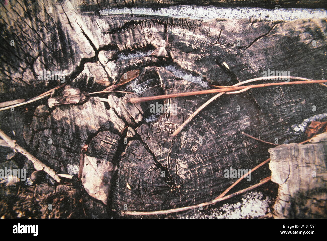 Algirdas grigaitis hi-res stock photography and images - Alamy