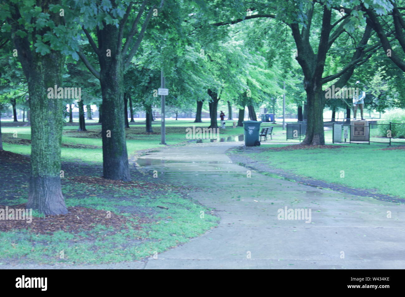 Walk thru trees in the park hi-res stock photography and images - Alamy