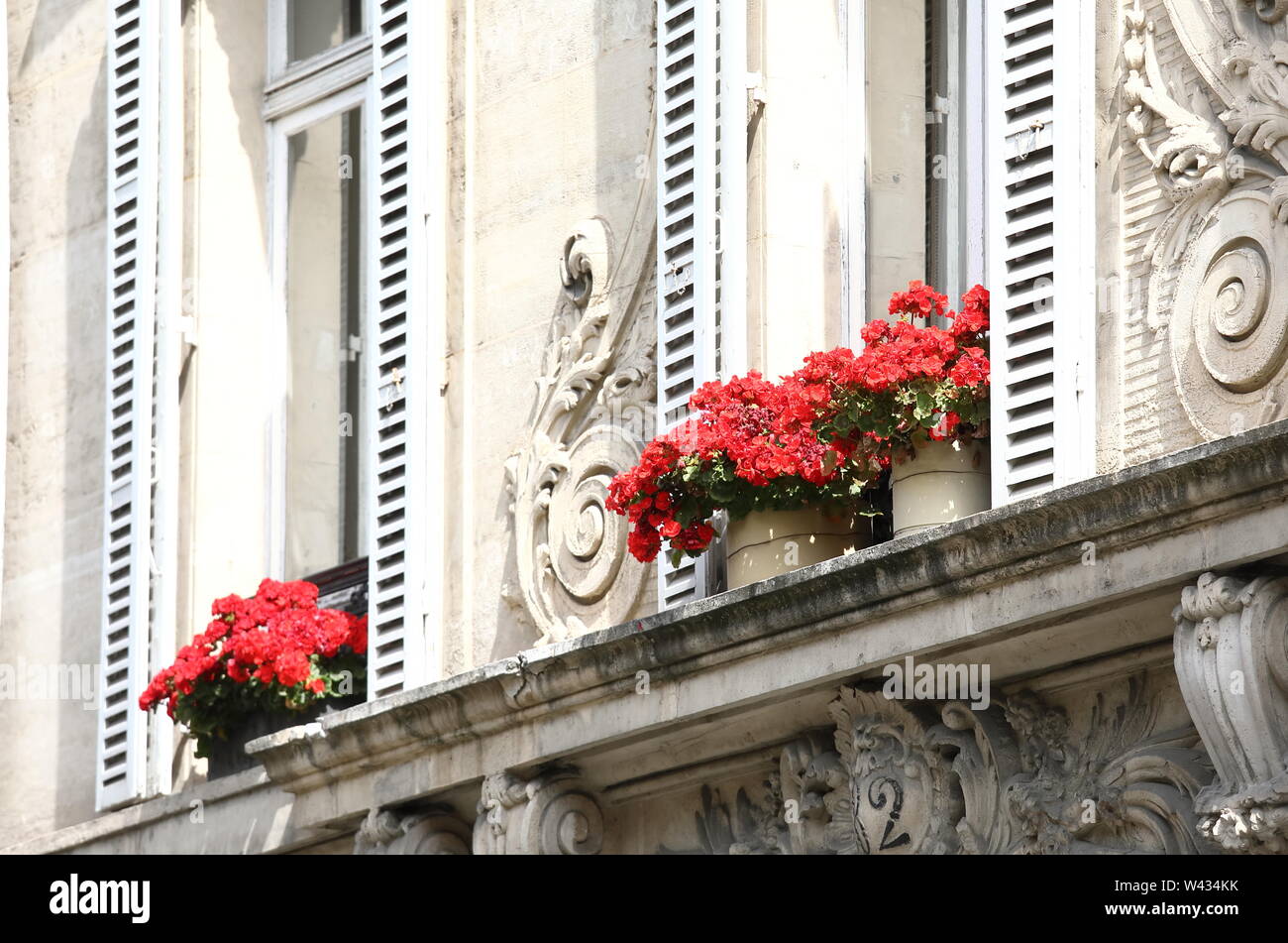 Flower pot window box Paris France Stock Photo - Alamy