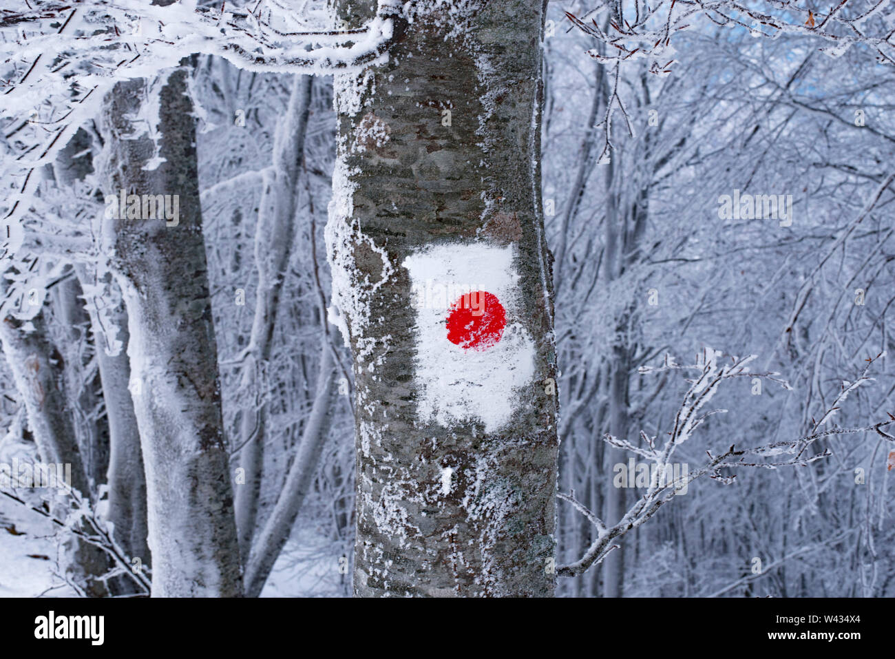Winter on Mt pelion greece Stock Photo - Alamy