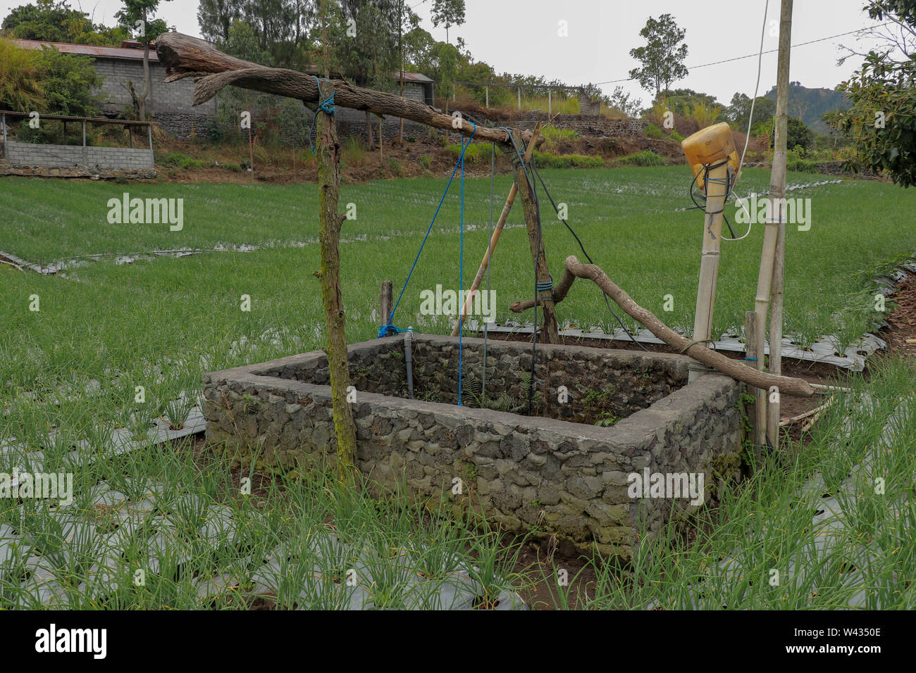 Old well with winch in the middle of onion field. Wall wells made of ...