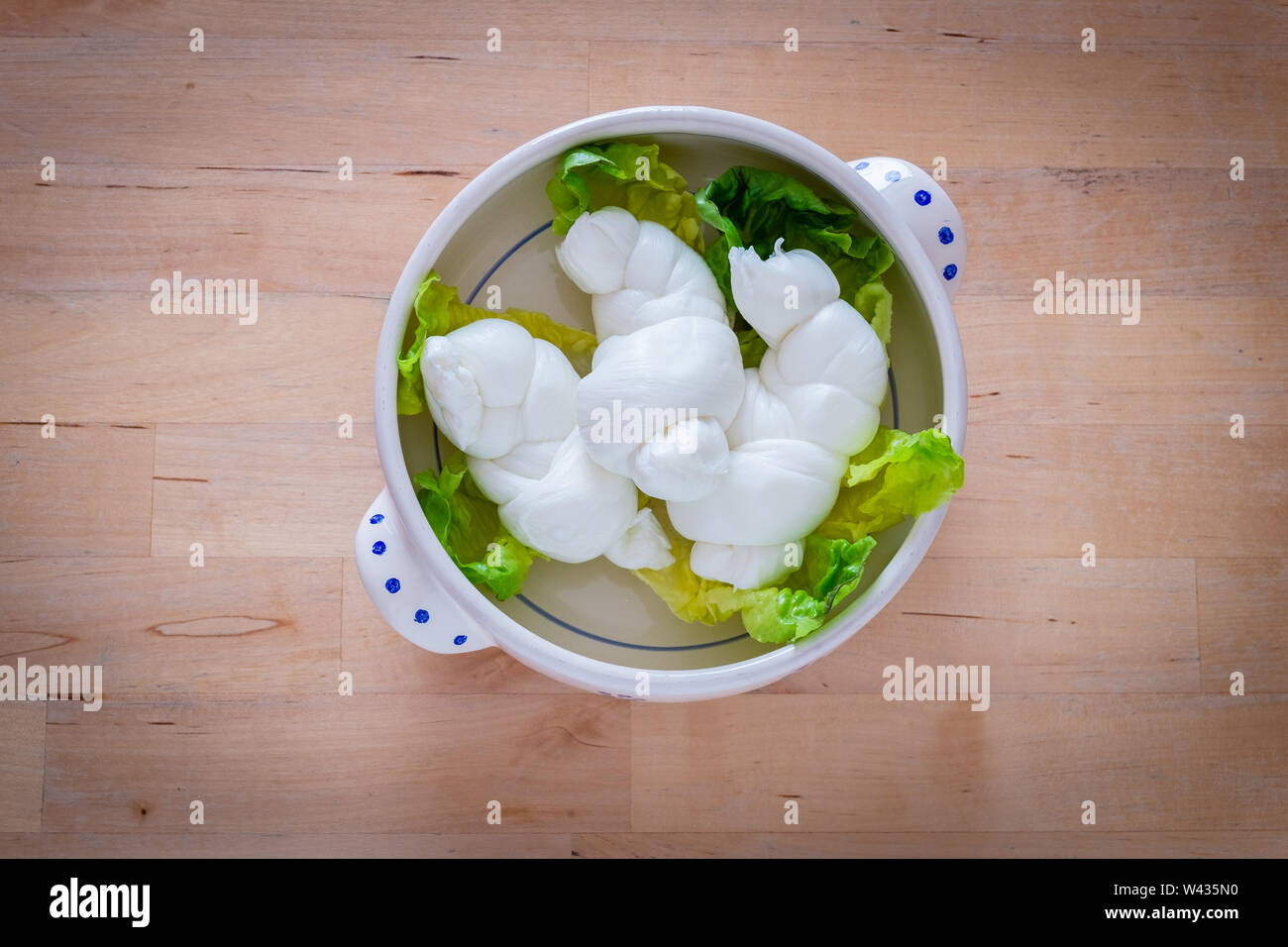 Cow's milk mozzarella cheese handmade in Puglia served in a typical ...