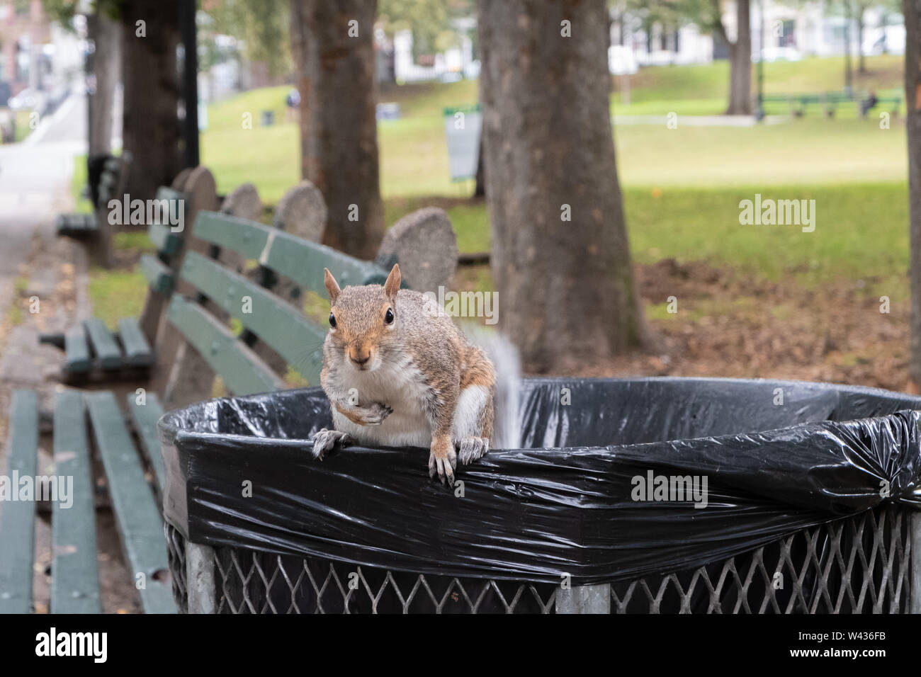 Trash can sitting there hi-res stock photography and images - Alamy