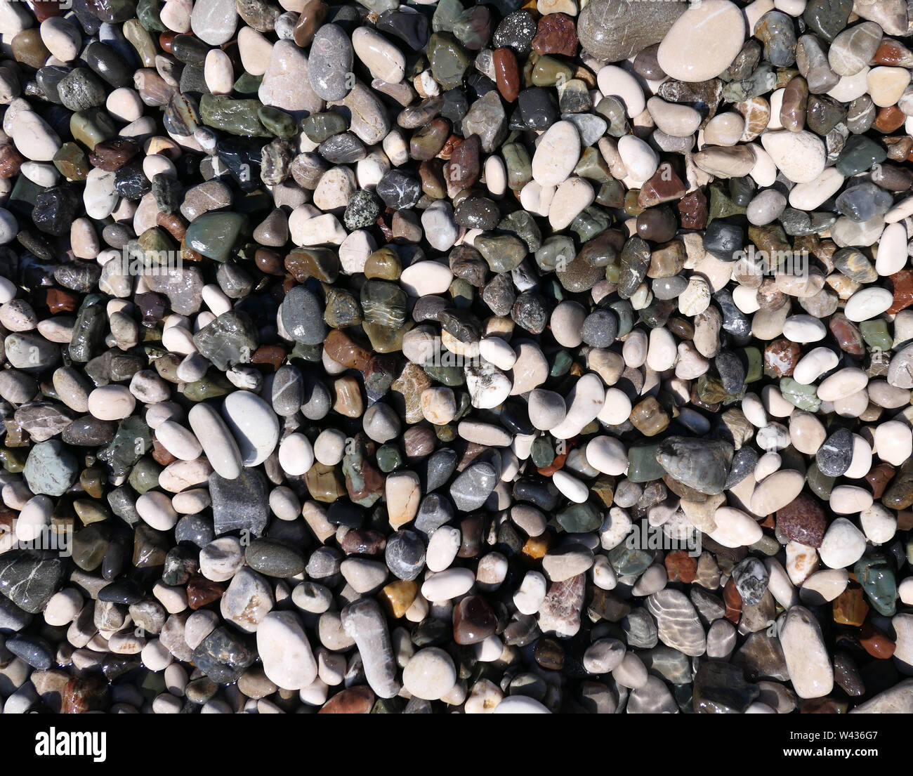 Color pebble as a background Stock Photo - Alamy