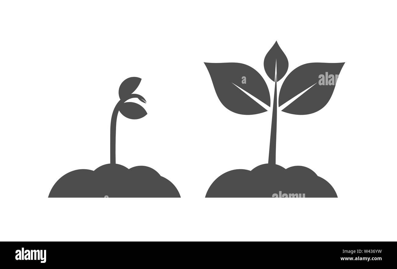 Spring seedlings plants icons. Vector illustration Stock Vector Image ...