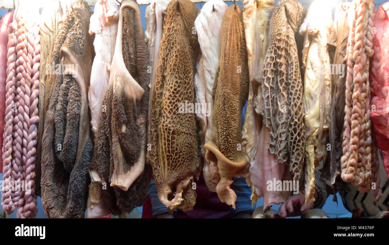 Large collection of moray eel skins at Tangier fish market, Morocco ...