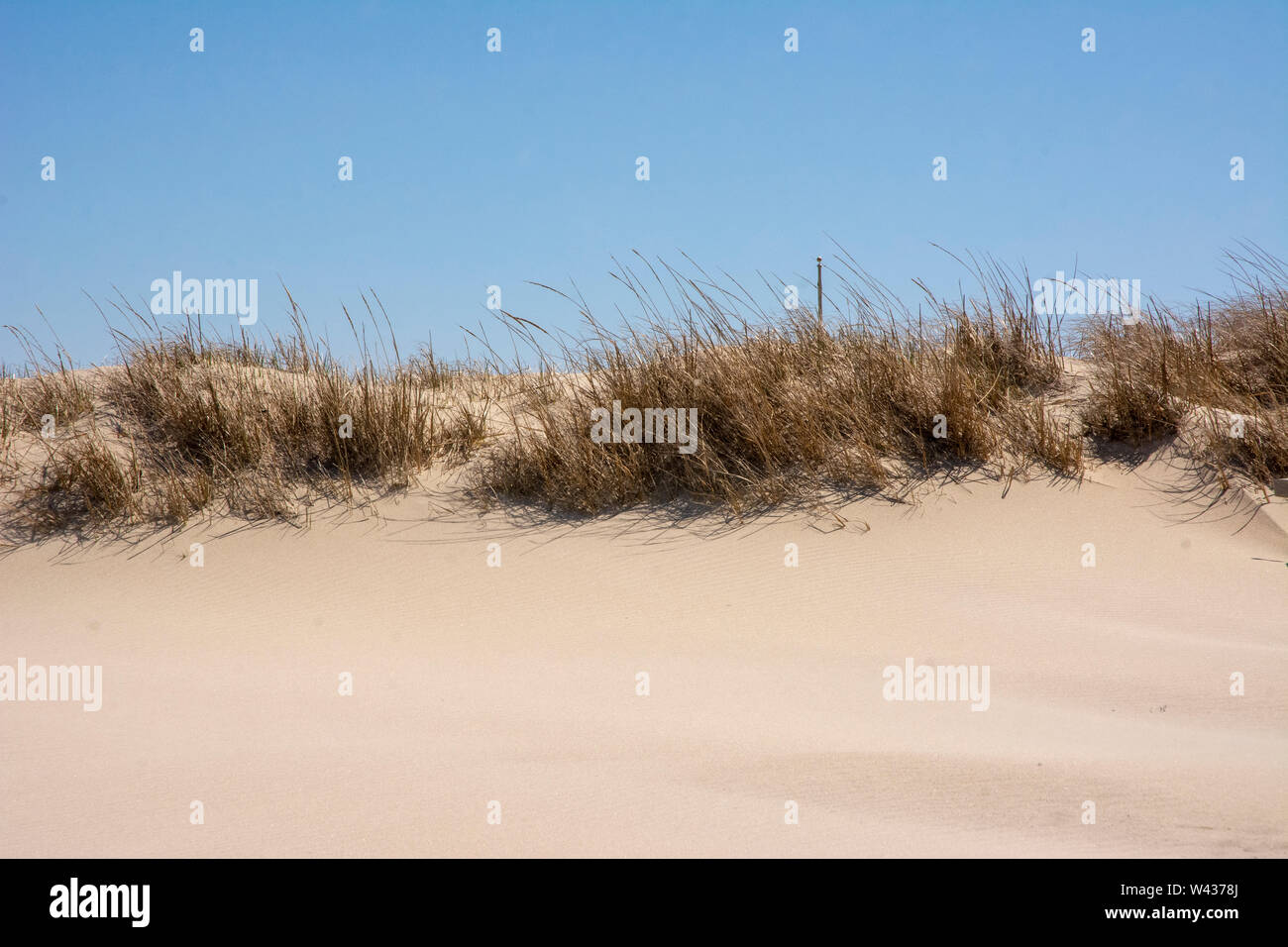 Nantucket is a small island off the coast of Massachusetts and has ...