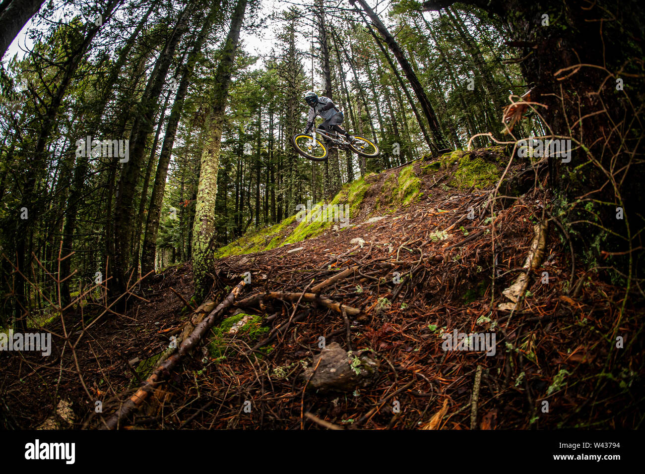 Rush mountain adventure park hi-res stock photography and images - Alamy