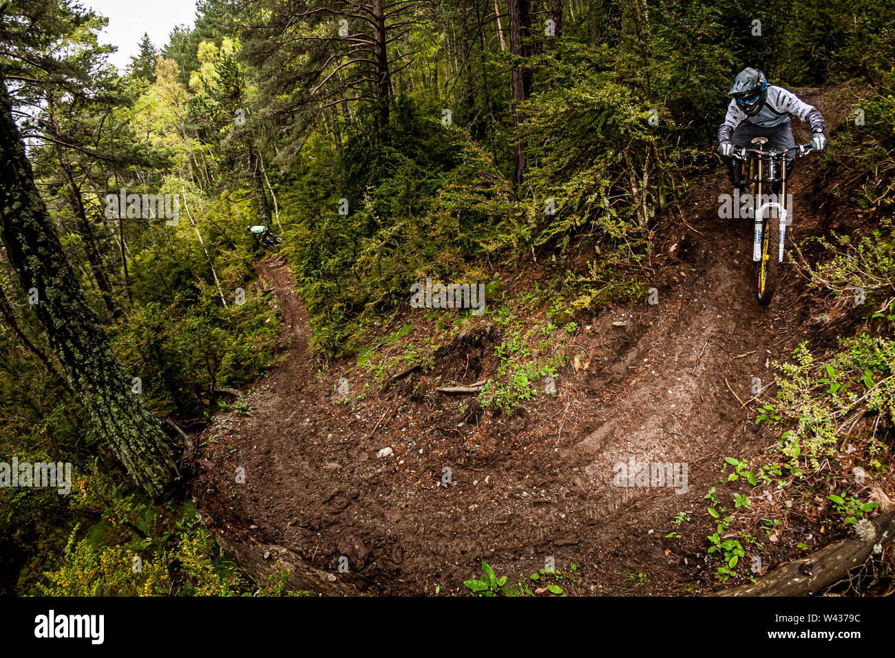 Two mountain bikers riding steep twisty and muddy trail in the dense ...