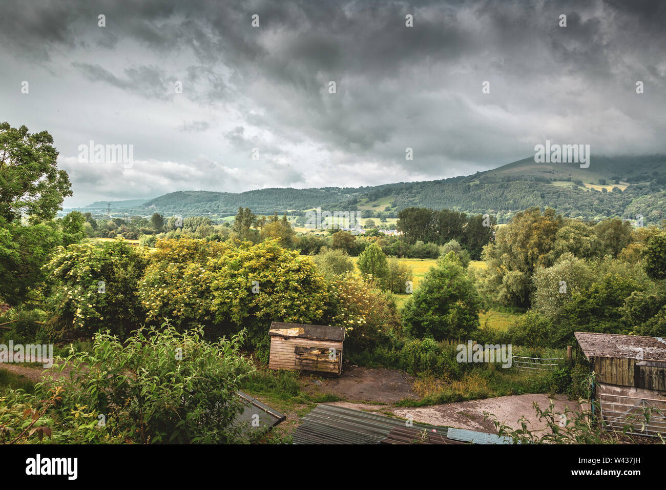 Frogmore street hi-res stock photography and images - Alamy