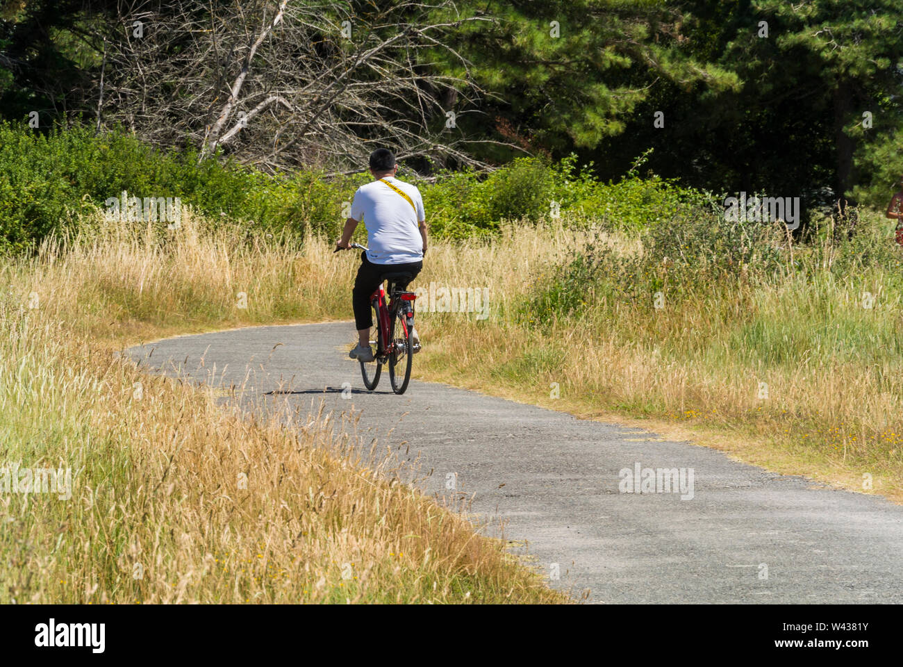 Vannes, FRANCE, Man rear, Bicyling on Country Road, Ile d'Arz, Morbihan ...