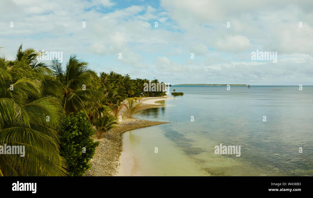 Tropical sandy beach with palm trees and blue water, aerial view ...