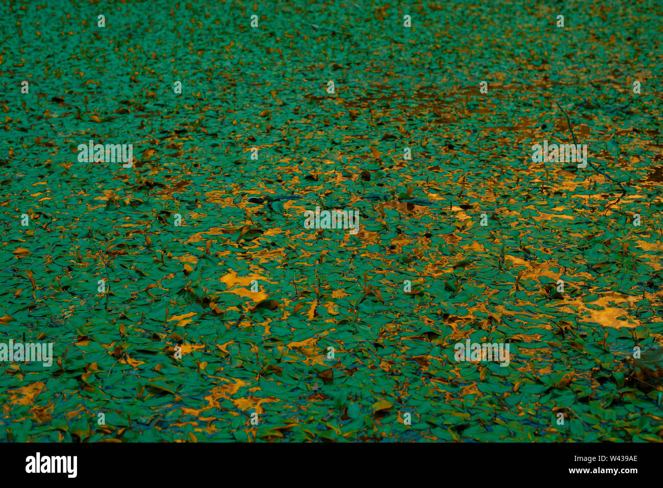 Rhodes red sand beach hi-res stock photography and images - Alamy