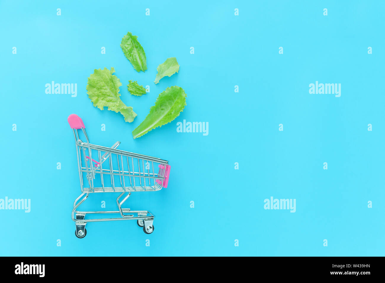 Ecology eco products health food vegan vegetarian concept . Small ...